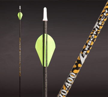 Carbon Tech Arrows